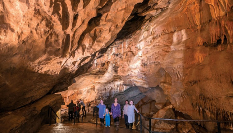 Cheddar Caves – Visit Underground with ABIS