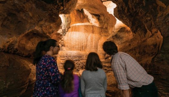 Cheddar Caves – Visit Underground with ABIS