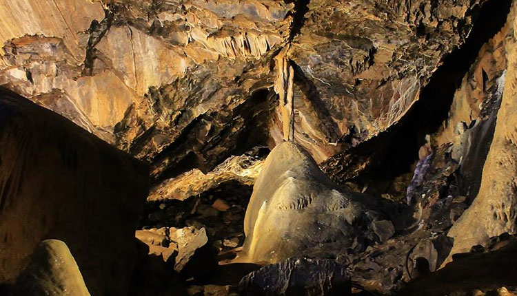 Mitchelstown Cave – Visit Underground with ABIS