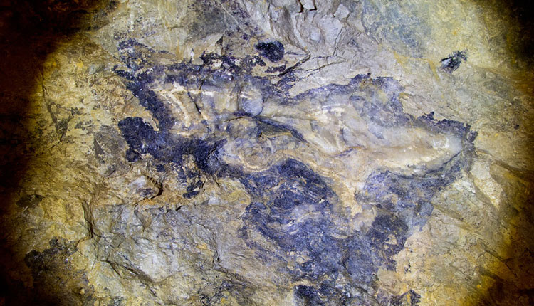 Treak Cliff Cavern – Visit Underground with ABIS